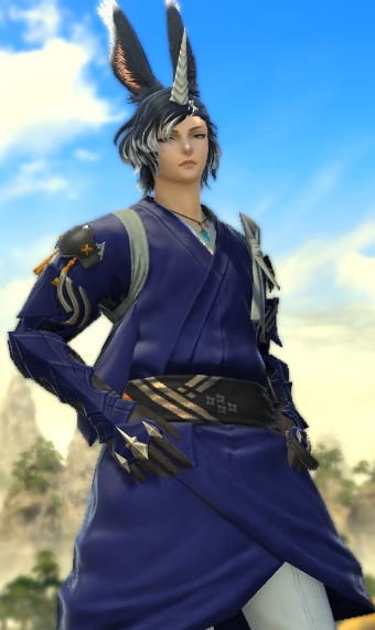 Souei, Minister of Intelligence | Eorzea Collection