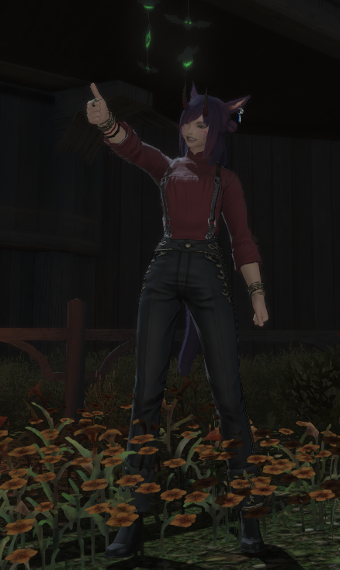 fancy pantz | Eorzea Collection