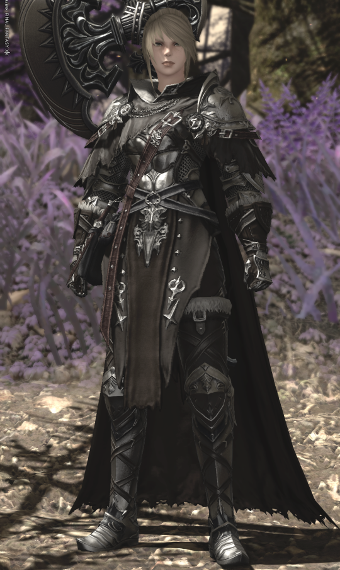 Warrior - Luneth Harvey | Eorzea Collection