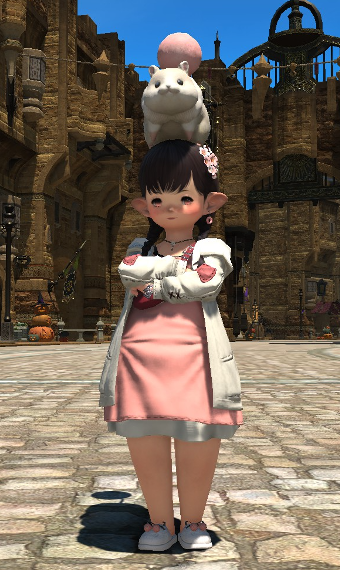 Sponge Silkie | Eorzea Collection