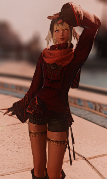 Experienced Explorer | Eorzea Collection