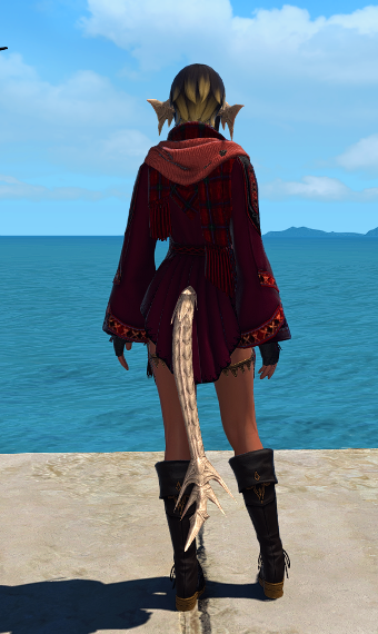 Experienced Explorer | Eorzea Collection