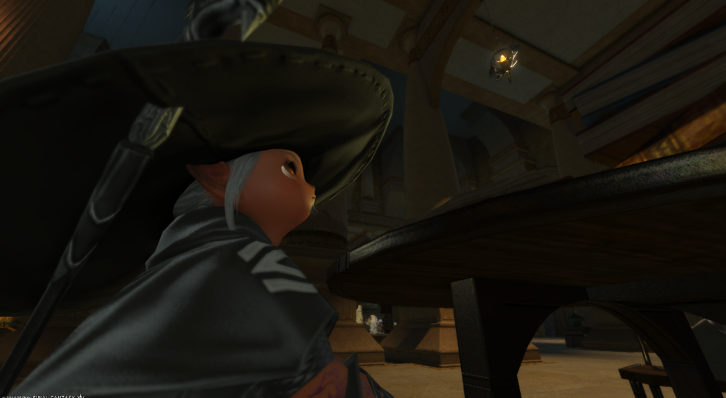 Apprentice Wizard | Eorzea Collection