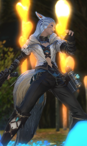 Black Wolf | Eorzea Collection