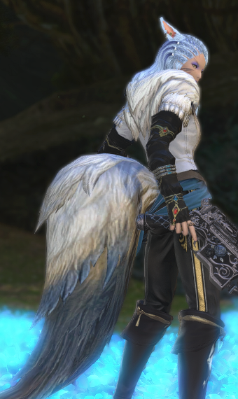 Black Wolf | Eorzea Collection