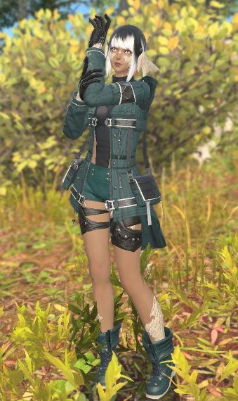 In leisurely research | Eorzea Collection