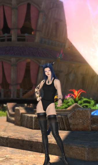 Sexy Leotard | Eorzea Collection