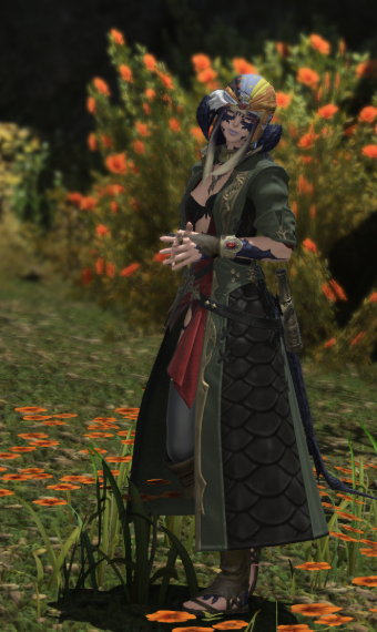 Traveller's Choice | Eorzea Collection