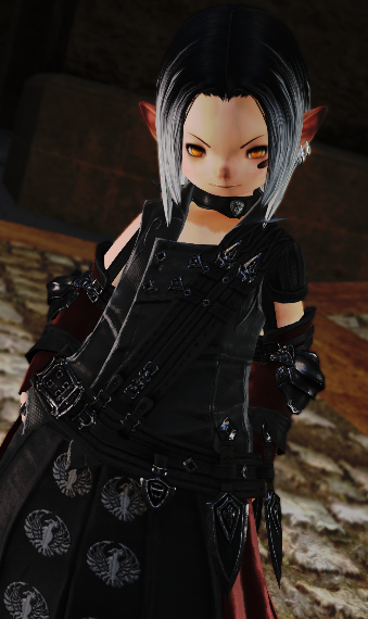 Rogue Monk | Eorzea Collection