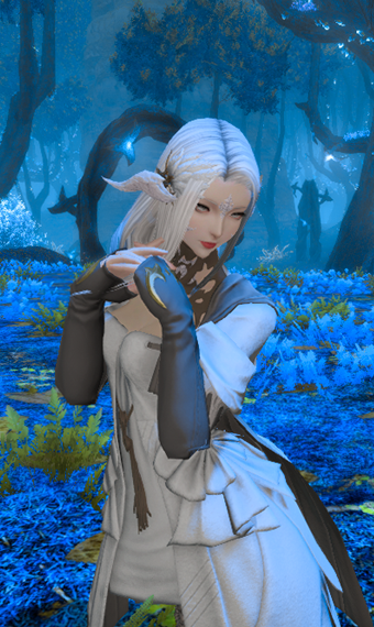 Forest Sorceress | Eorzea Collection