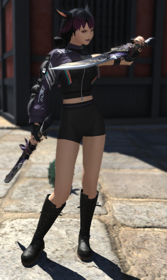 Solution 66 | Eorzea Collection