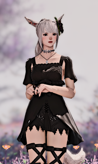 Noir | Eorzea Collection