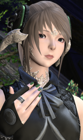 The Wandering Adventurer | Eorzea Collection