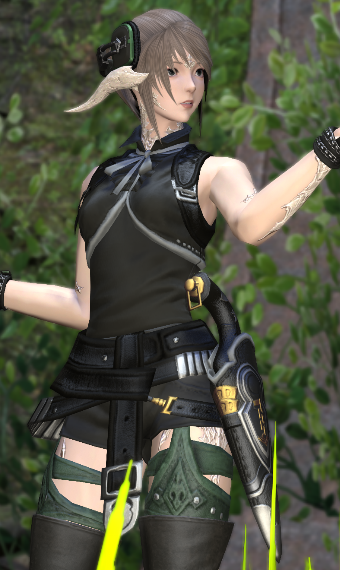 The Wandering Adventurer | Eorzea Collection