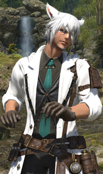 Didact Scholar of Untamed Horizons | Eorzea Collection