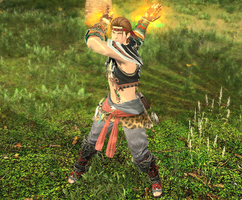 The Wild Monk | Eorzea Collection