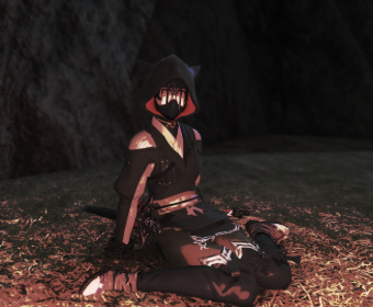 The Jackal Assassin | Eorzea Collection