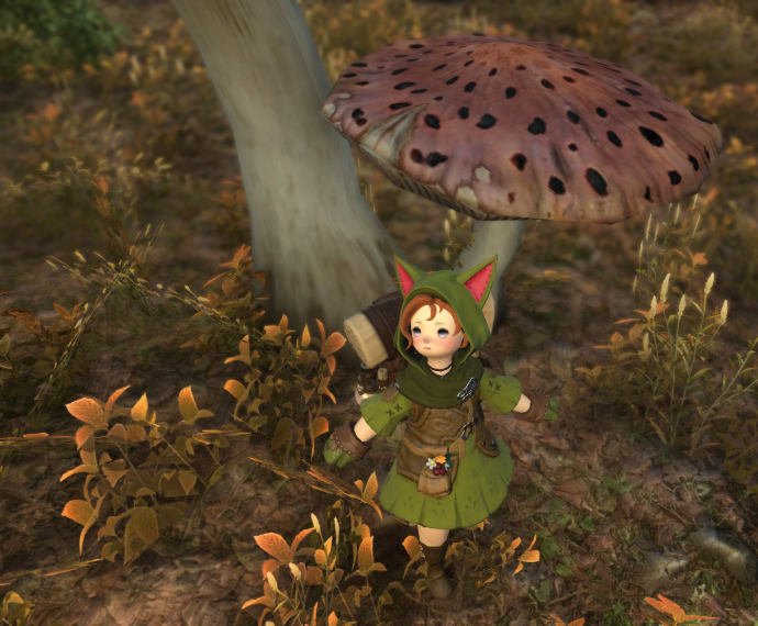 Tiny Traveler | Eorzea Collection