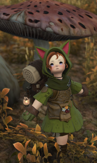 Tiny Traveler | Eorzea Collection
