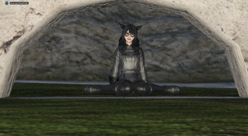 Eorzea's Cat Woman | Eorzea Collection
