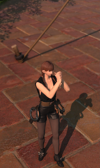 Pivot, step, walk, walk, walk. | Eorzea Collection