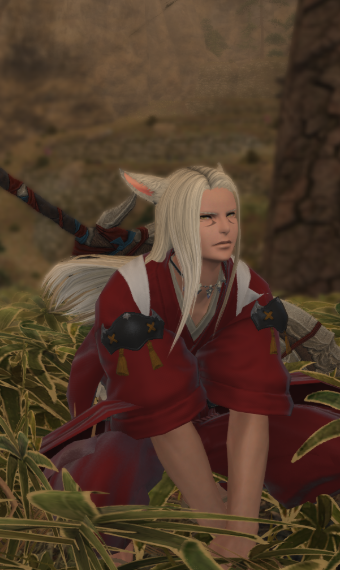 Sit, Boy! Inuyasha | Eorzea Collection