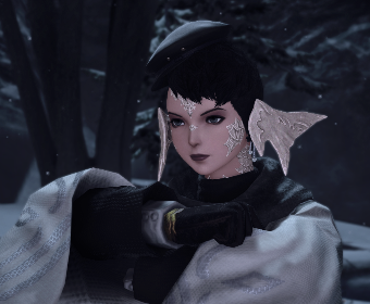 Winter Revolutionary | Eorzea Collection