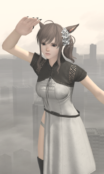 Nier | Eorzea Collection