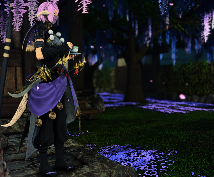 Moonlight Shadow | Eorzea Collection
