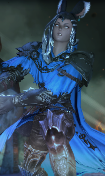 Unrelenting Knight | Eorzea Collection