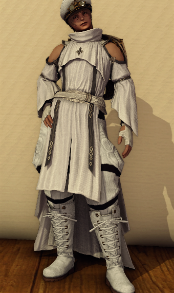 Sagacious Commander | Eorzea Collection