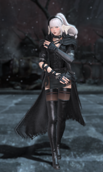 New point of view | Eorzea Collection