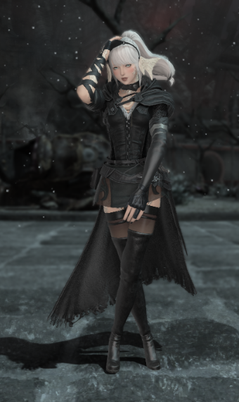 New point of view | Eorzea Collection