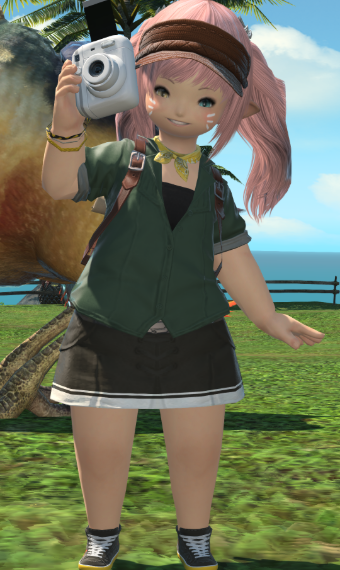 Sunbeam Adventurer | Eorzea Collection