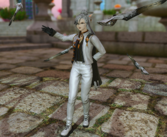 The Conductor | Eorzea Collection