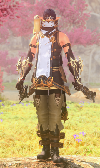 Assassin | Eorzea Collection