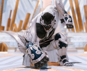 God of Speed (Monk) | Eorzea Collection