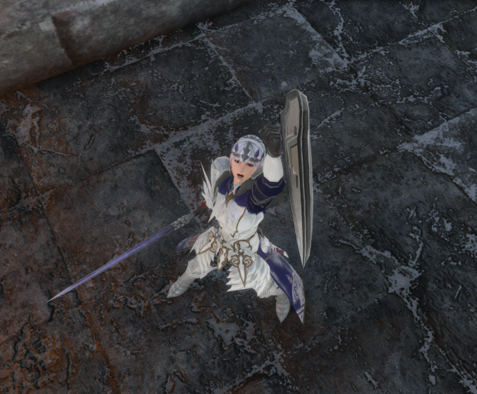 Dragon Guard | Eorzea Collection