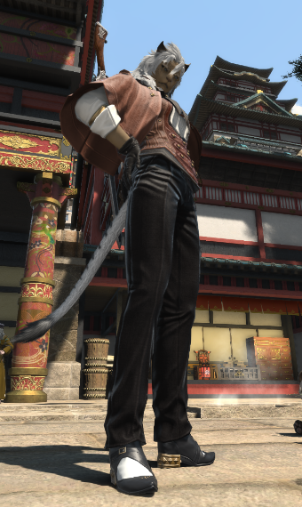 Beyond Reproach | Eorzea Collection