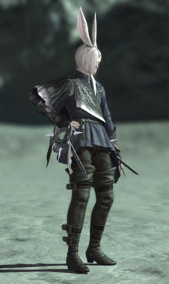 Moonlight Shadow | Eorzea Collection