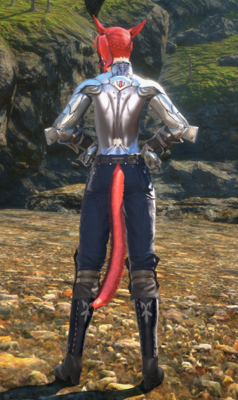 Cyborg in Fantasia | Eorzea Collection