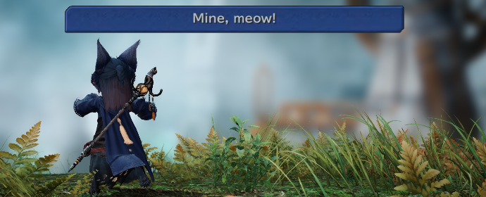 Gimme Cat | Eorzea Collection