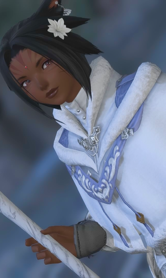winter painter. | Eorzea Collection