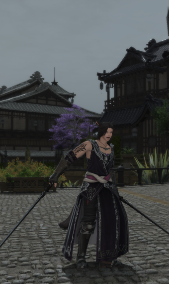 Aristocratic Duelist | Eorzea Collection