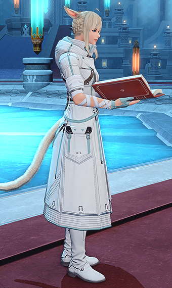 Techie Sage | Eorzea Collection