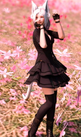 Goth Fox | Eorzea Collection