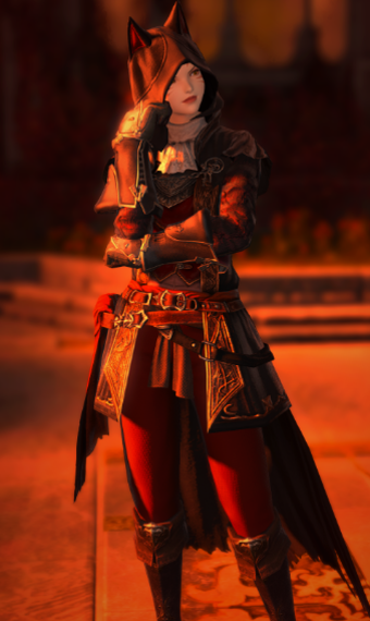Assassin's cat | Eorzea Collection