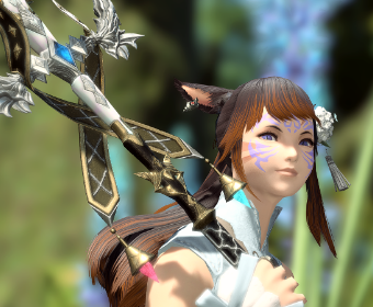 Wedding Painter | Eorzea Collection