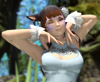 Wedding Painter | Eorzea Collection