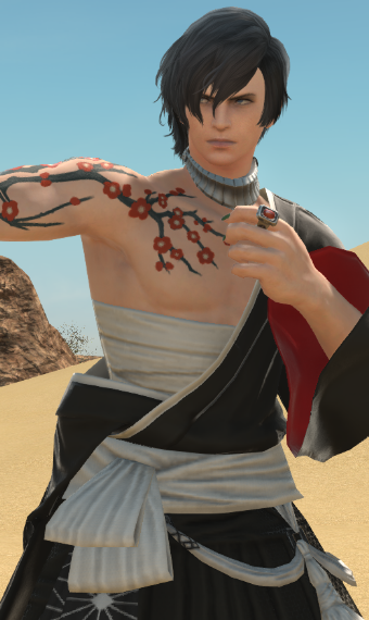 Follower Of Joshin | Eorzea Collection